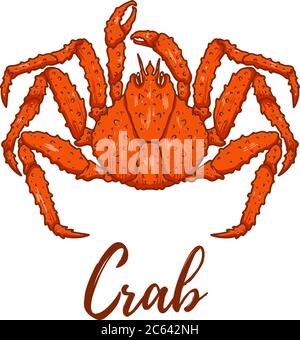 Illustration of japanese spider crab. Design element for logo, label ...