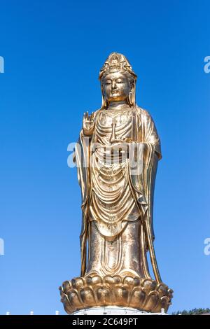 Golden Guan Yin statue at Dalian Hengshan Temple Stock Photo - Alamy