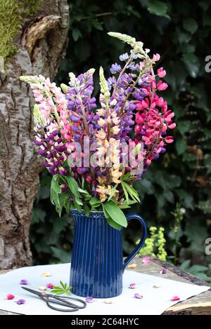 lupins in vase Stock Photo - Alamy