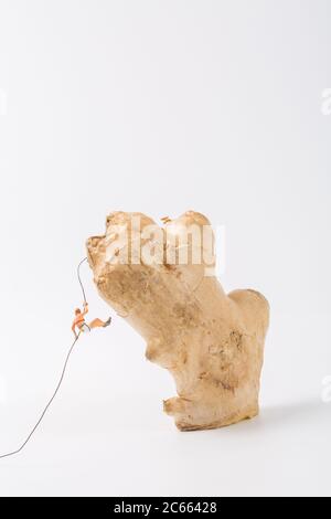 Man climbing ginger on white background Stock Photo - Alamy