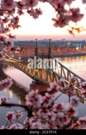 Budapest, Hungary - Beautiful Cherry Blossom at sunrise with Liberty ...