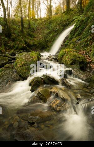 Holme Force in Holme Wood above Loweswater in the Lake District ...