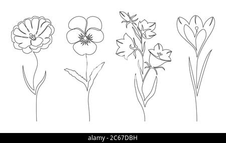 Set of Viola, Violet line art vector drawings Stock Vector Image & Art ...