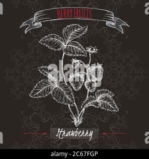 Hand drawn sketch of Strawberry with branch and leaf isolated, Black ...