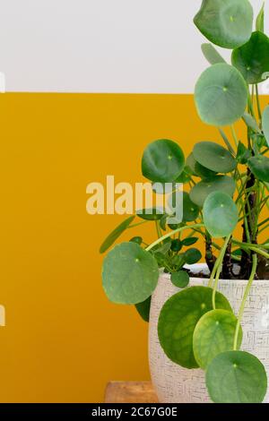 A beige wall is half painted with white paint. Abstract design ...