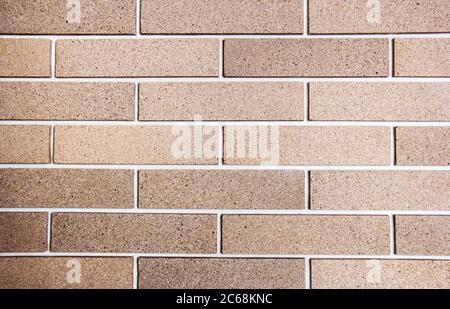 Arrange the bricks side by side - on a wall. The front of the brick ...