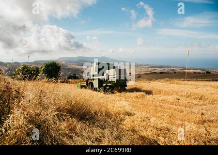 Harvest at Fasli, Paphos, Cyprus Stock Photo - Alamy