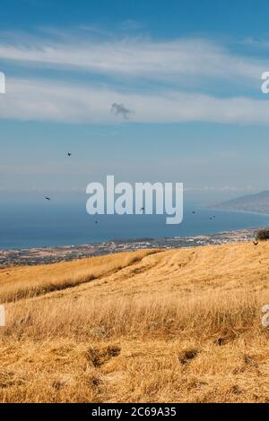 Harvest at Fasli, Paphos, Cyprus Stock Photo - Alamy