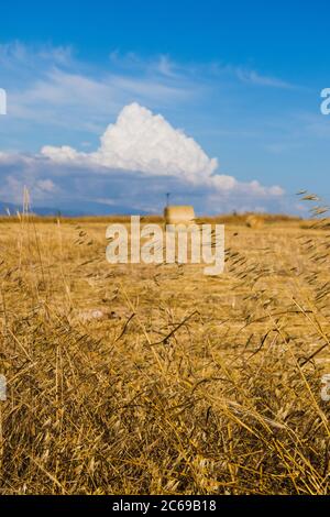 Fasli, abandoned village, Paphos, Cyprus Stock Photo - Alamy