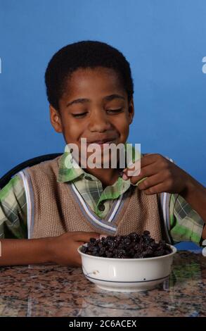 Austin, Texas USA, December 2003: Eight-year-old African American boy ...