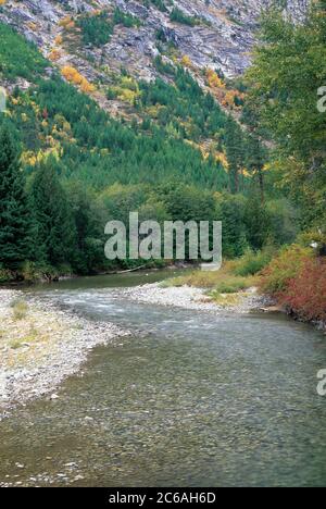Entiat River, Wenatchee National Forest, Washington Stock Photo - Alamy