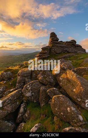 England, South Devon, Dartmoor. Hound guarding entrance to Hayford Hall ...