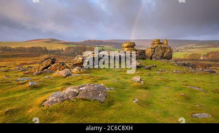 England, South Devon, Dartmoor. Hound guarding entrance to Hayford Hall ...