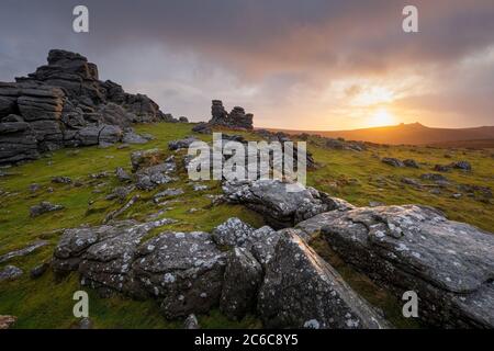 England, South Devon, Dartmoor. Hound guarding entrance to Hayford Hall ...
