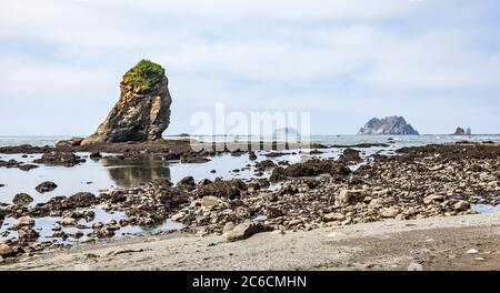 The rugged coastline and tidal pools of the Olympic National Park ...