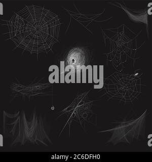Spider with cobweb. Venom spider vector illustration for halloween ...