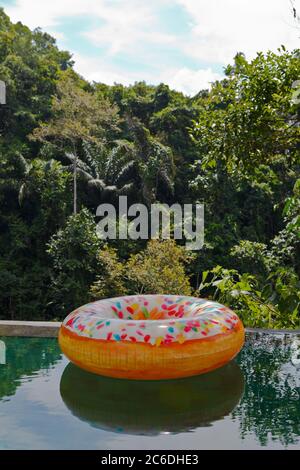 inflatable ring at the tropic jungle pool Stock Photo - Alamy