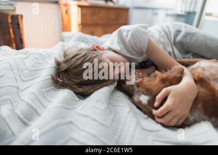 Cute boy cuddling with dog on bed Stock Photo - Alamy