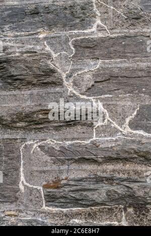 White silica or mineral accretions seeping through cracks / small ...