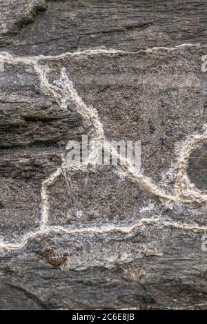 White silica or mineral accretions seeping through cracks / small ...