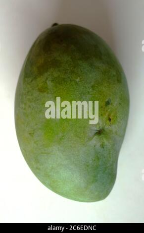 Mangga Gajah (literally means Elephant Mango) . Variety of Manalagi ...
