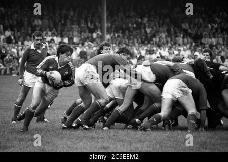 Llanelli RFC scrum half Jonathan Griffiths makes a break from the base ...