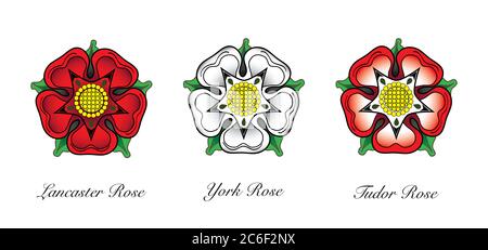 The Red Rose of Lancaster, the White Rose of York, and the Red and ...