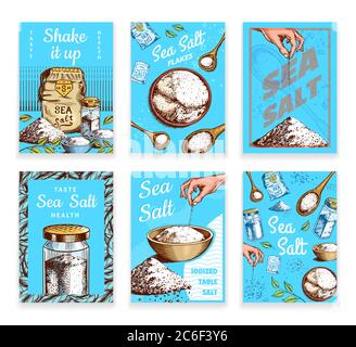 Sea salt posters and banners. Vintage labels. Octopus and squid, wooden ...