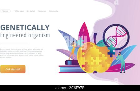 Genetically modified organism concept landing page Stock Vector Image & Art - Alamy