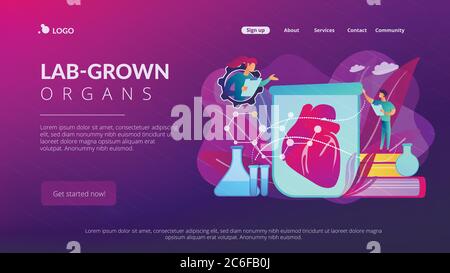 Lab-Grown Organs landing page concept Stock Vector Image & Art - Alamy