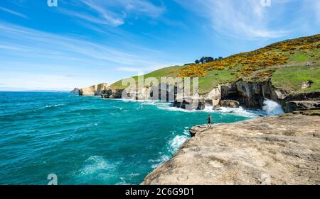 Coastal cliffs, Tunnel Beach, Otago Peninsula, Otago, New Zealand Stock ...