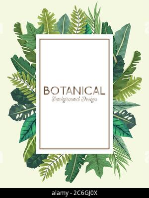 tropical leafs in frame Stock Vector Image & Art - Alamy