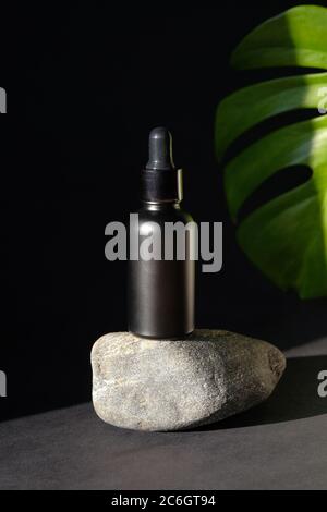 black bottle leaf monstera. Clean dropper bottle mockup and monstera ...