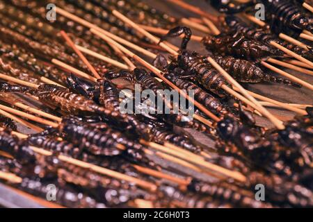 Deep fried insects are sold at a night market in Nanning city, south ...