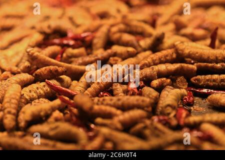 Deep fried insects are sold at a night market in Nanning city, south ...