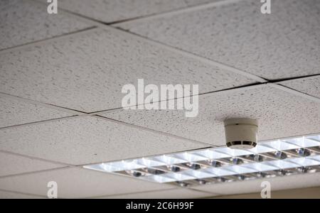 smoke detector in a ceiling in an industrial environment Stock Photo ...