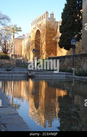 Travelling Andalucia, discoverign the beautiful cities of Seville ...