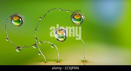 Water drops hang on bent thin metal wires sticking out of the water ...