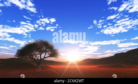 sunset at meadow and lonely tree, 3d render illustration Stock Photo ...
