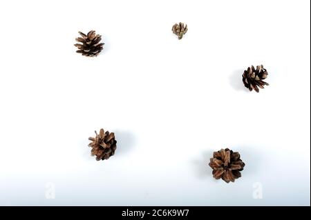 Five pine cones randomly placed in a circle on white surface ...