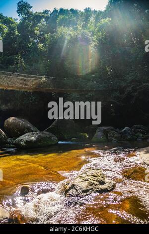 Bridge over creek in tropical jungle Stock Photo - Alamy