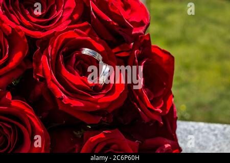 wedding rings as the symbol of eternal love and devotion wedding rings ...