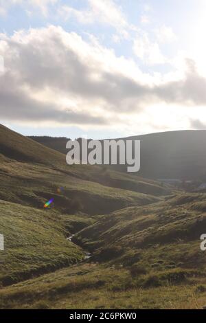 Clear stream running through field Stock Photo - Alamy