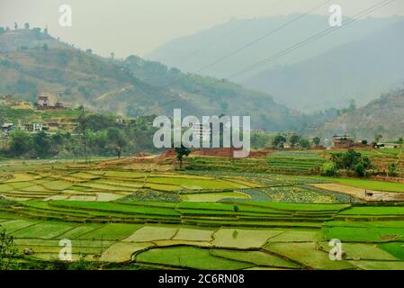 Terrace farming, Nepal, Kathmandu, Pokhara Stock Photo - Alamy