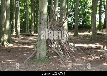 Scout den building activity, A makeshift den built in a UK wood, Spring ...