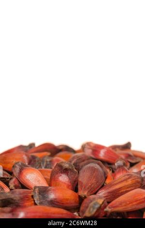 Closeup of natural fruit of pinion nut roasting on a dark skillet. Chef ...