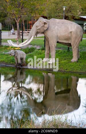 La Brea Tar Pits and George Page Museum Natural History Museum of LA ...