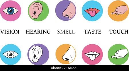 set of five human senses. Vision, hearing, touch, taste, smell icon ...