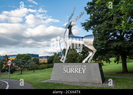 The Surrey Stag stainless steel sculpture by sculptor Allan Sly at the ...