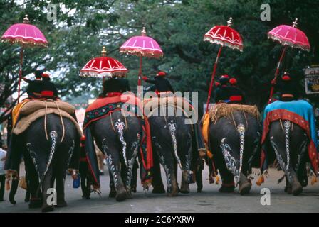 Decorated elephants at Mysore Dussehra celebration or Dasara festival ...